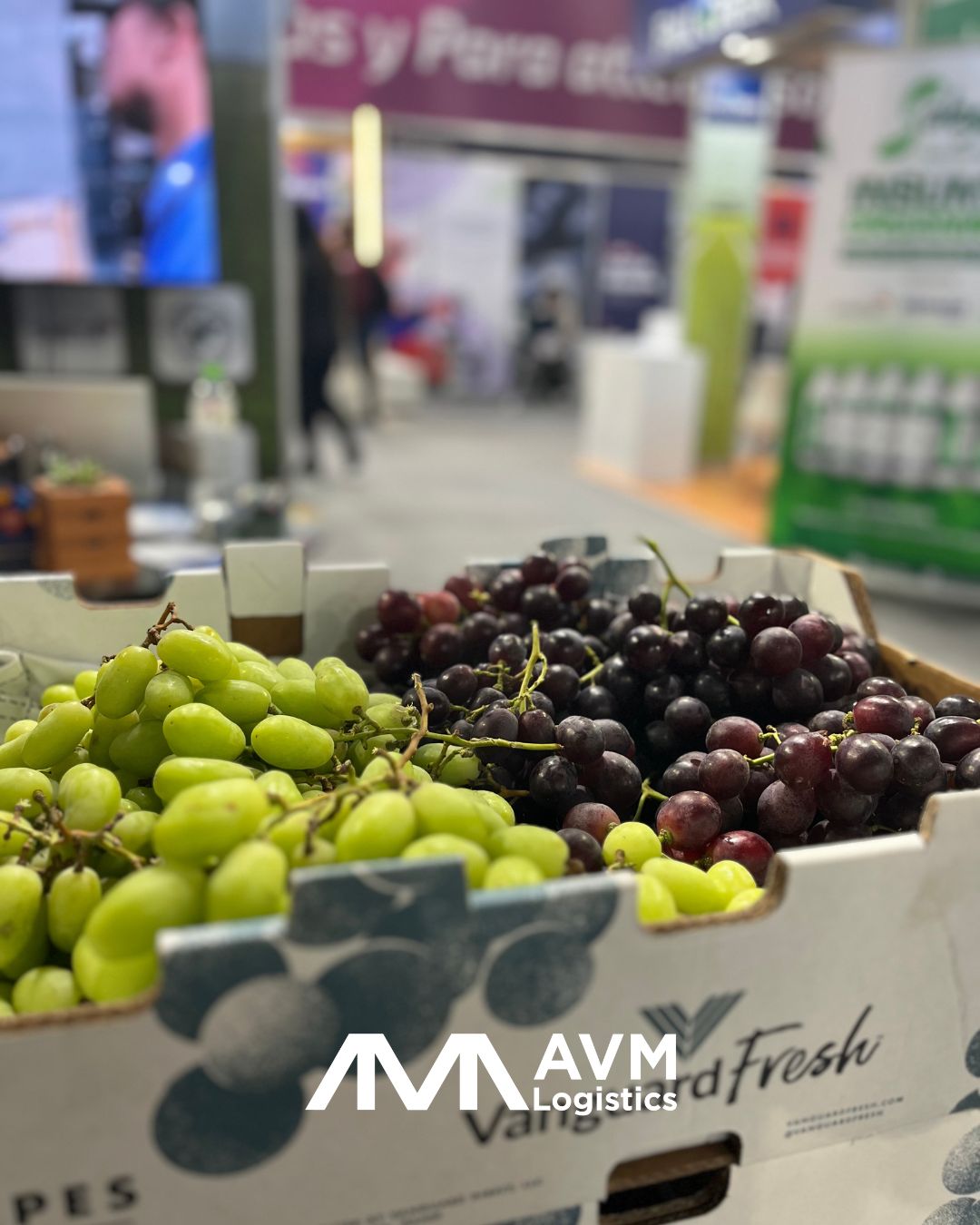 1750372167025 – AVM Logistics